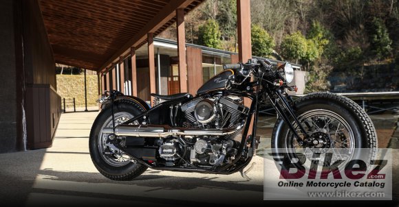 Road Hopper Type5 Evo gallery